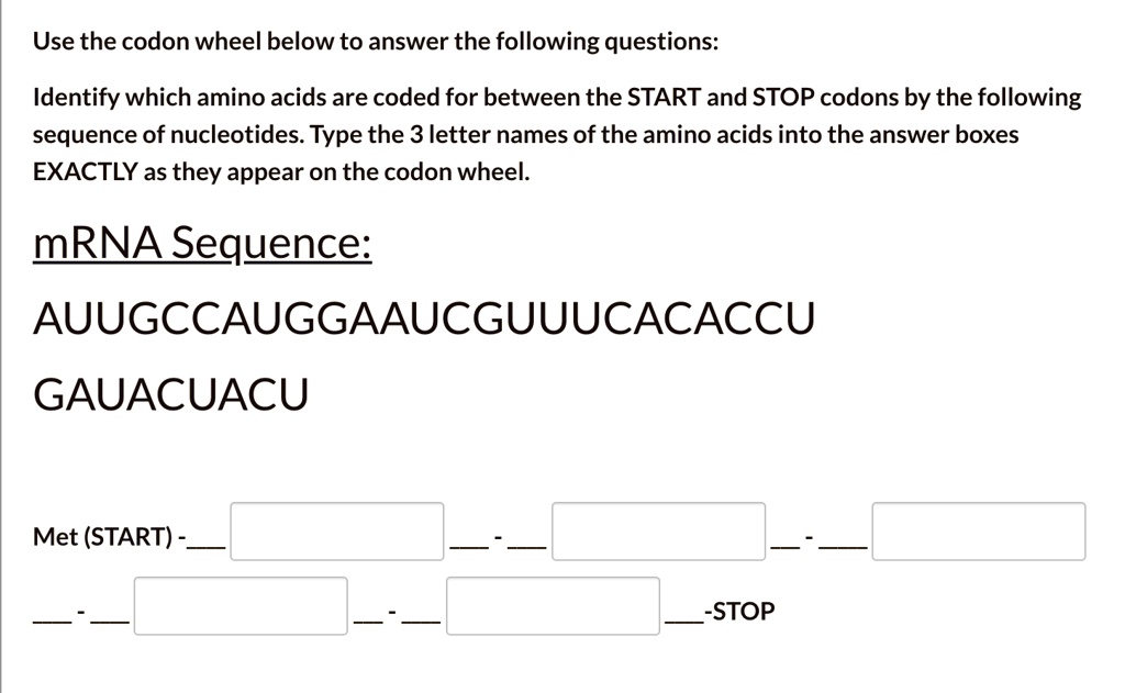 SOLVED: Use the codon wheel below to answer the following questions: Identify which amino acids ...