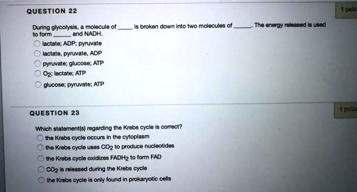 SOLVED: Question 22 pabi Durng glycolysis; molecule of t0 fOrm and NADH ...