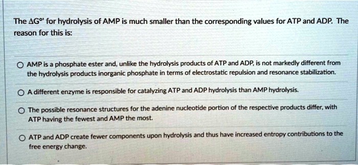 SOLVED:The AG?" for hydrolysis of AMP is much smaller than the ...