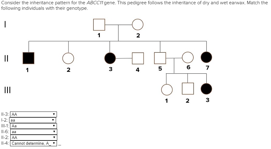 SOLVED: Consider the inheritance pattern for the ABCC11 gene: This ...