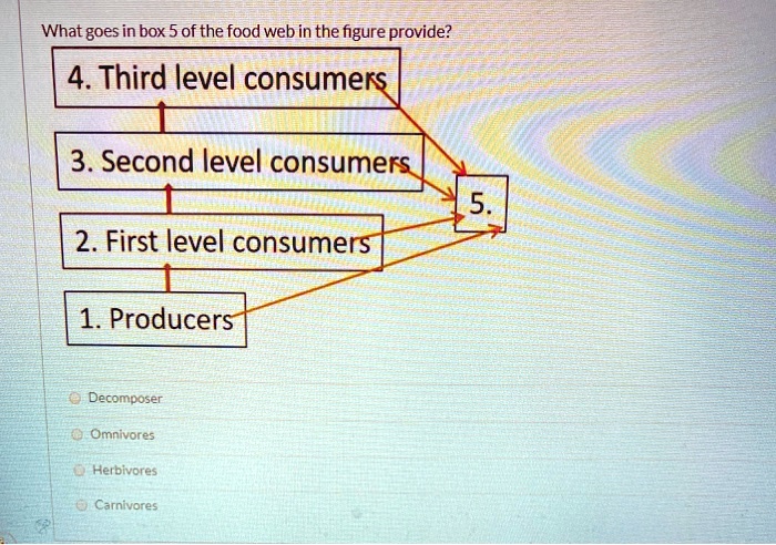 SOLVED: What goes in box 5 of the food web in the figure provide? 4 ...