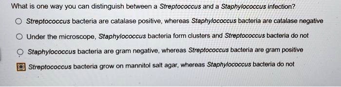 What is one way you can distinguish between a Streptococcus and a ...