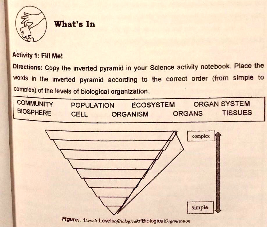 VIDEO solution: What's In Activity 1: Fill Me! Directions: Copy the ...