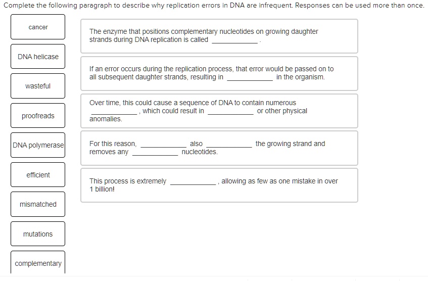 complete the following paragraph to describe why replication errors in dna are infrecuent rese ...