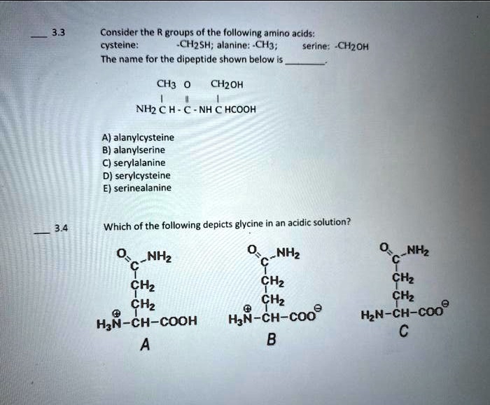 SOLVED: 3.3 Consider the R groups of the following amino acids ...