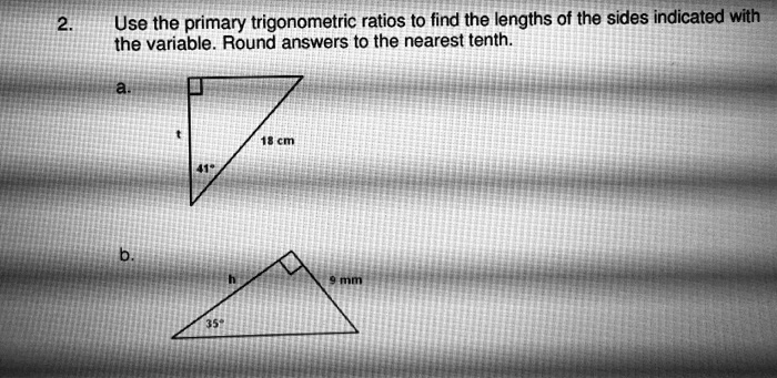 SOLVED: Use the primary trigonometric ratios to find the lengths of the sides indicated with the ...