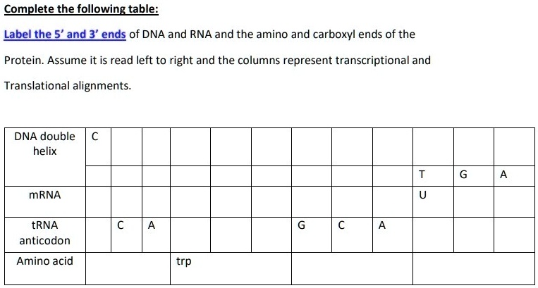 SOLVED: Complete the following table: Label the 5' and 3' ends of DNA ...