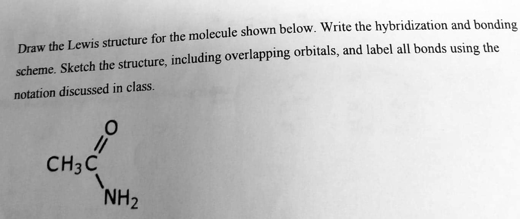Solved Draw The Lewis Structure For The Molecule Shown Below Write The Hybridization And