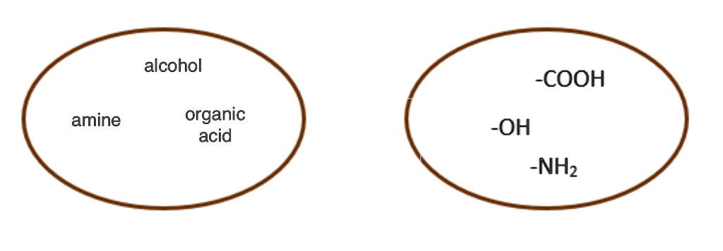 SOLVED: In this task, you must find out which name in the left circle and which formula for ...