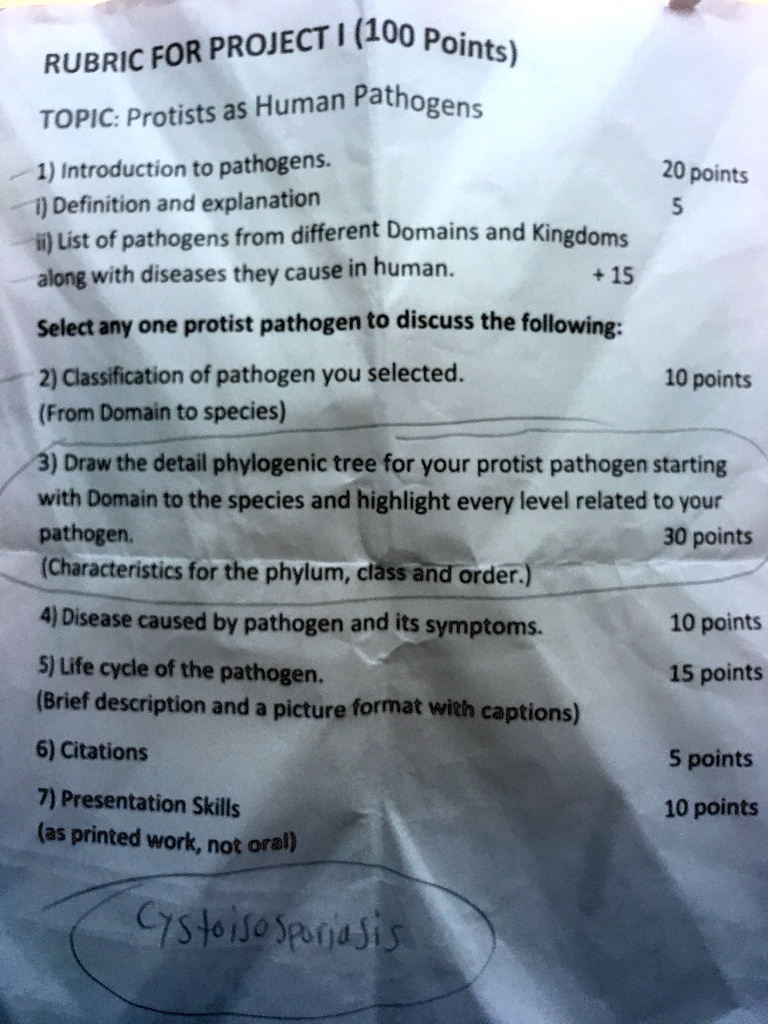 for project 100 rubric points topic protists as human pathogens 1 ...