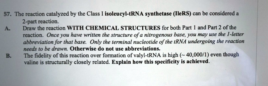 SOLVED: 57. The reaction catalyzed by the Class I isoleucyl-tRNA ...