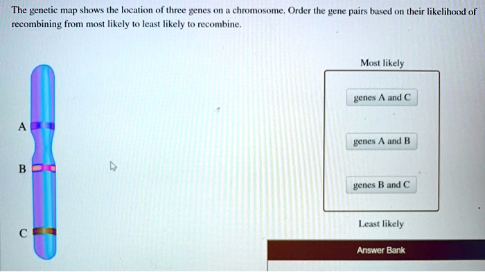 The genetie map shows the kxation of three genes ( ch… - SolvedLib