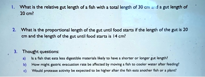 what is the relative gut length of a fish with total length of 30 cm ...