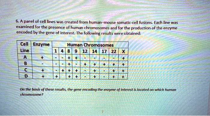 a panel of cell lines was created from humar mouse somatic cell fusions ...