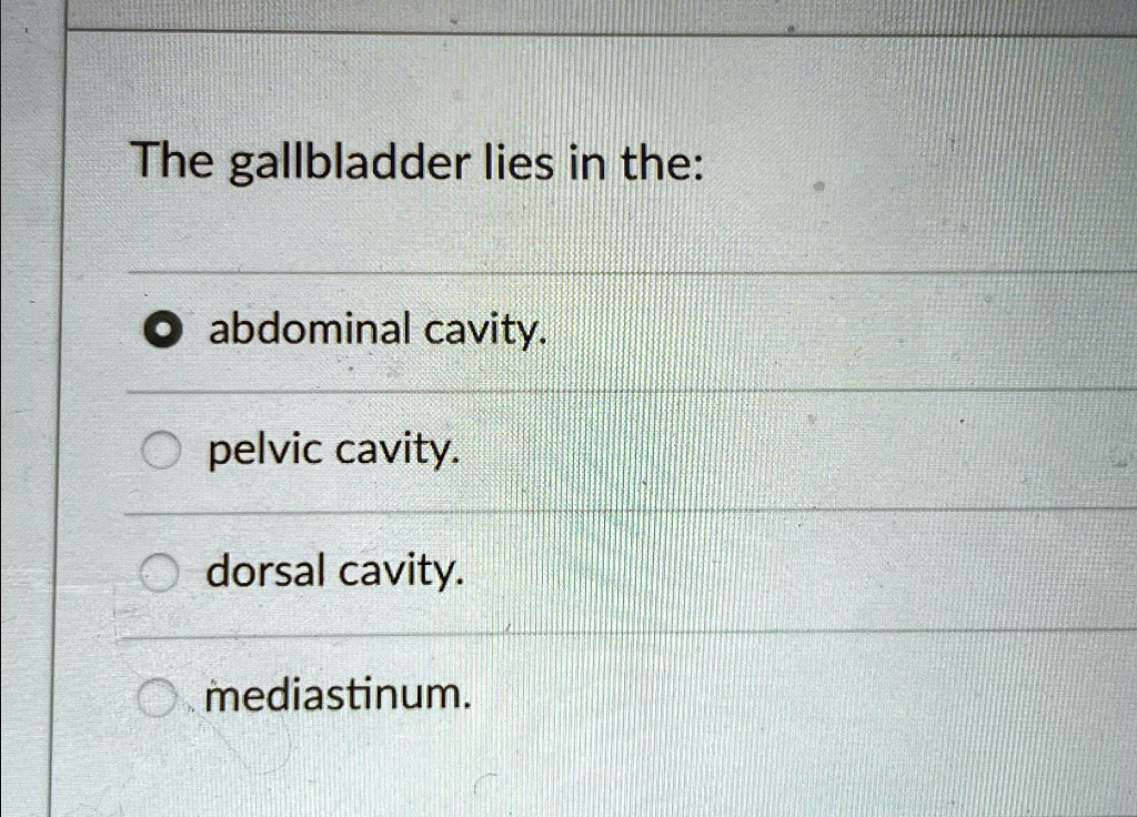 The gallbladder lies in the: • abdominal cavity. pelvic...
