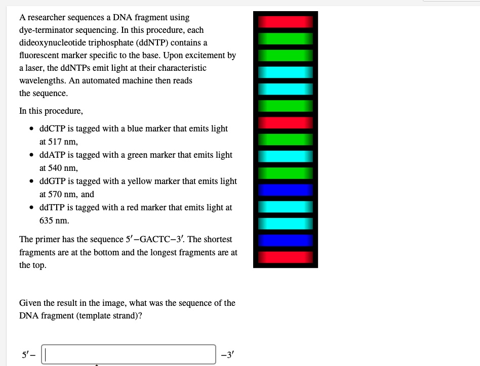 SOLVED:A researcher sequences DNA fragment using dye-terminator ...