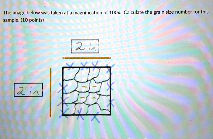 SOLVED: The image below was taken at a magnification of 100x. Calculate ...