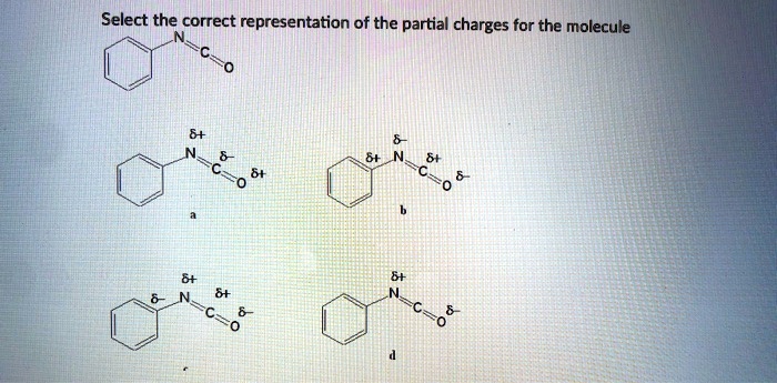 SOLVED: Select the correct representation of the partial charges for ...