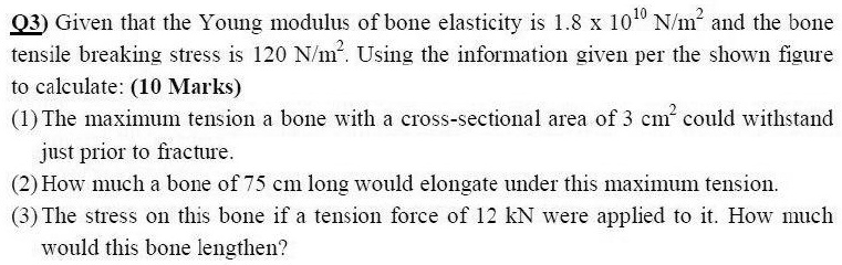 SOLVED: Q3) Given that the Young modulus of bone elasticity is 1.8 x 10 ...
