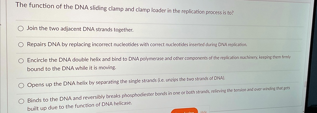 the function of the dna sliding clamp and clamp loader in the ...