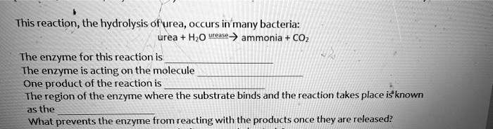 SOLVED: This reaction; the hydrolysis of urea occurs in many bacteria ...