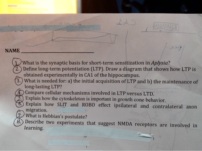 laj name what is the synaptic basis for short term sensitization in ...