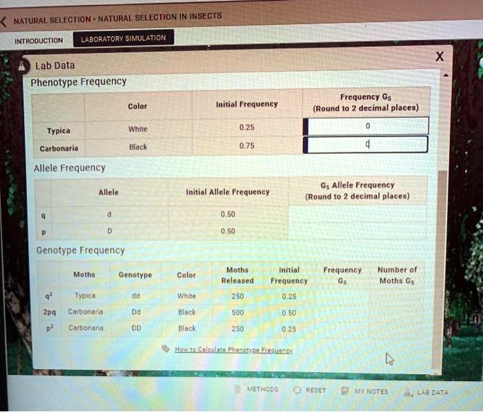 natural selection natural selection in insects introduction laboratory ...