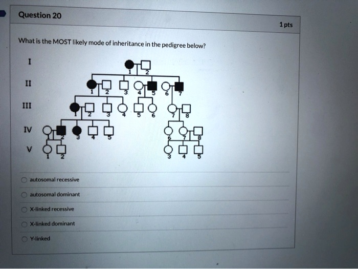 question 20 1pts what is the most likely mode of inheritance in the ...