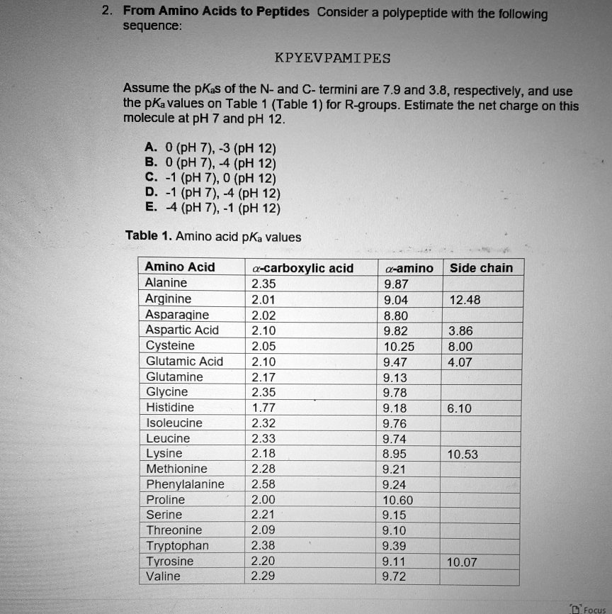 2. From Amino Acids to Peptides Consider a polypeptide with the ...