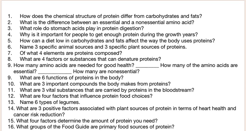 SOLVED: 'questions above How does the chemical structure of protein ...