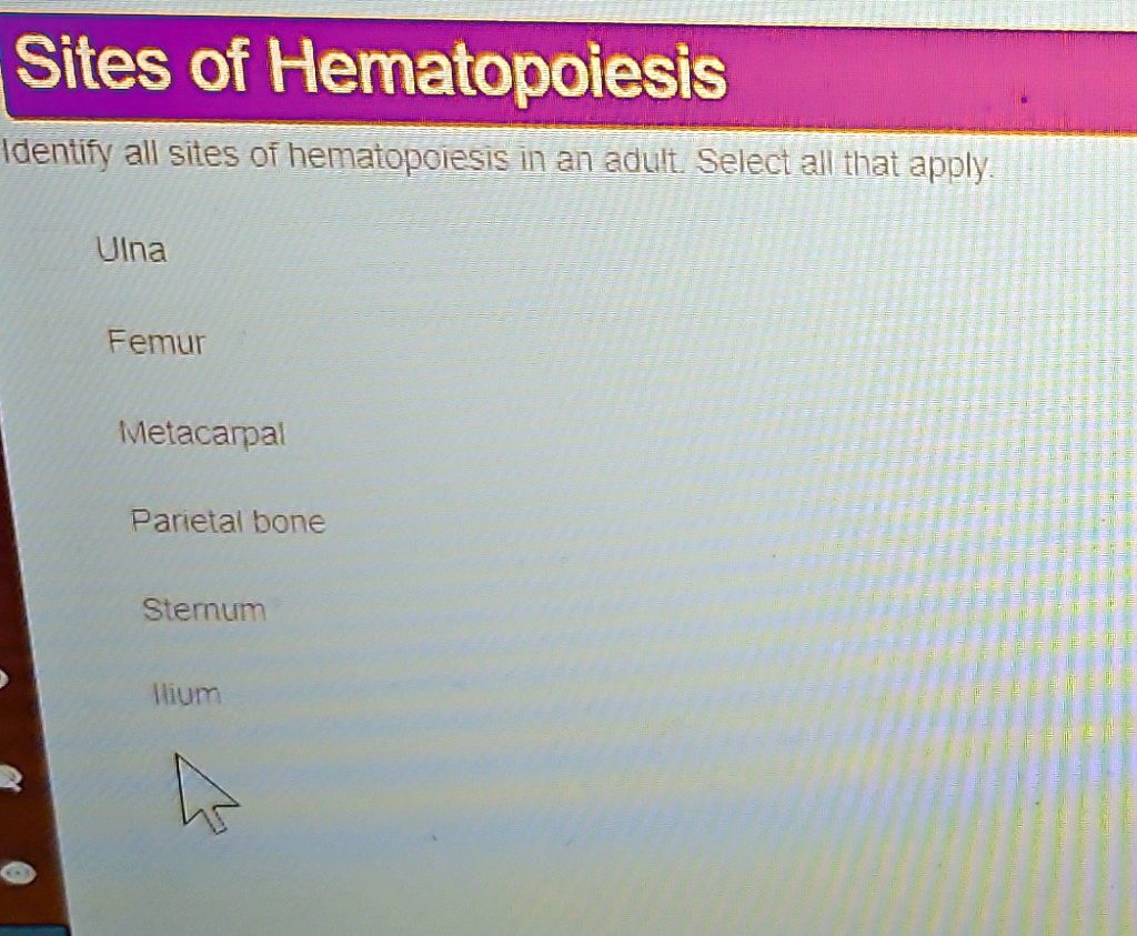 sites of hematopoiesis identify all sites of hematopoiesis in an adult ...