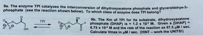 SOLVED:The enzyme TPI catalyzes the interconversion of dihydroxyacetone ...