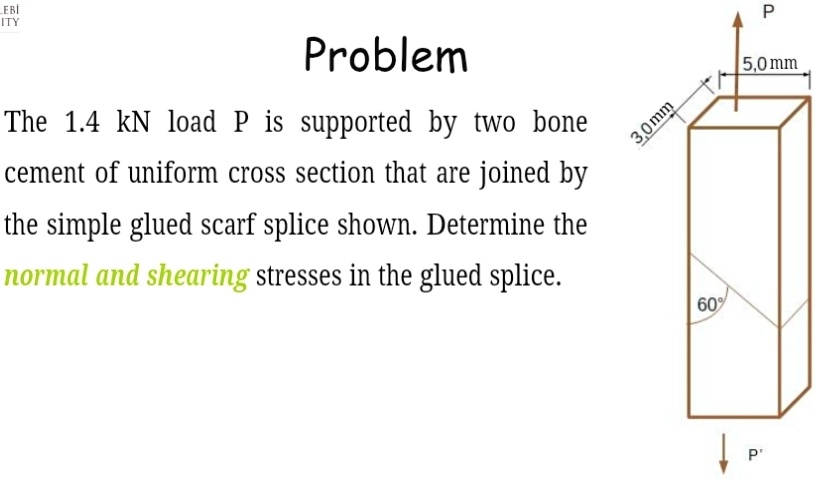 problem the 14 kn load p is supported by two bone cement of uniform ...