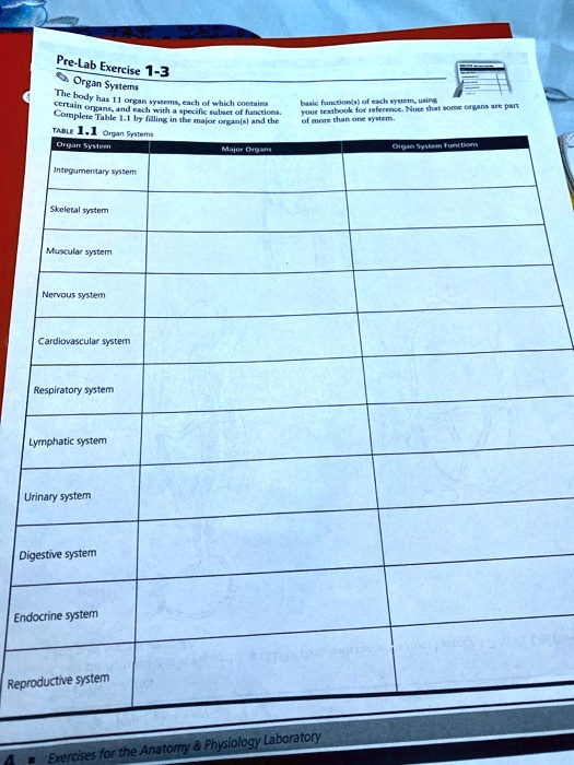 SOLVED: Pre-Lab Exercise 1-3 Organ Systems basic functions of each ...