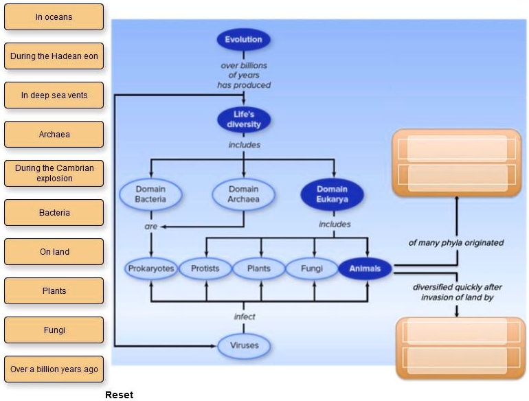 In oceans Evolution During the Hadean eon over billions of years has ...