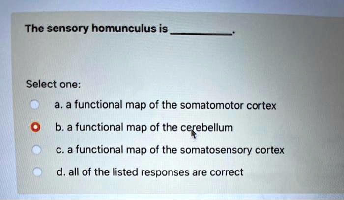 The sensory homunculus is . Select one: a. a functional map of the ...