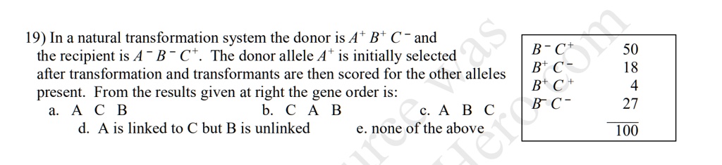 SOLVED: 19) In a natural transformation system the donor is A+ Bt ...