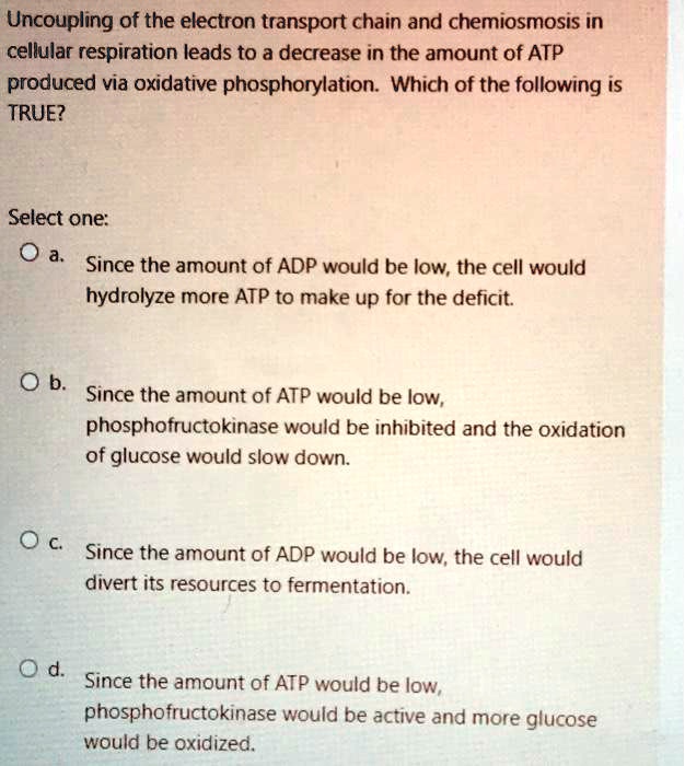 SOLVED: Uncoupling of the electron transport chain and chemiosmosis in cellular respiration ...