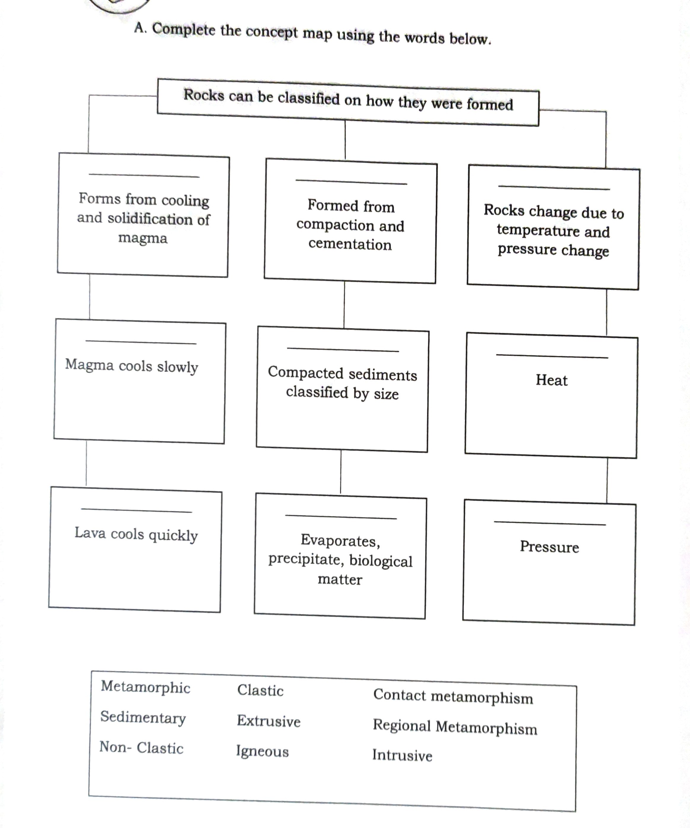 A. Complete the concept map using the words below.
