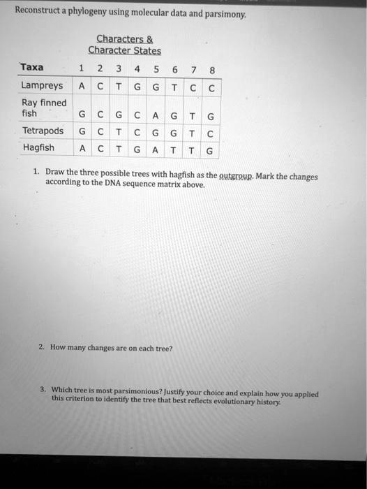 Reconstruct a phylogeny using molecular data and parsimony. Characters ...