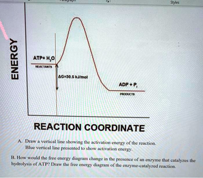 styles 1 atp ho rnkma adp p reaction coordinate draw vertical line ...