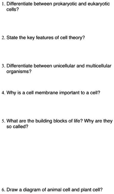 differentiate between prokaryotic and eukaryotic cells 2 state ihe key ...