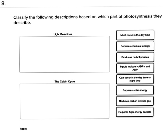 SOLVED: Texts: 8 Classify the following descriptions based on which ... SOLVED: Texts: 8 Classify the following descriptions based on which ...