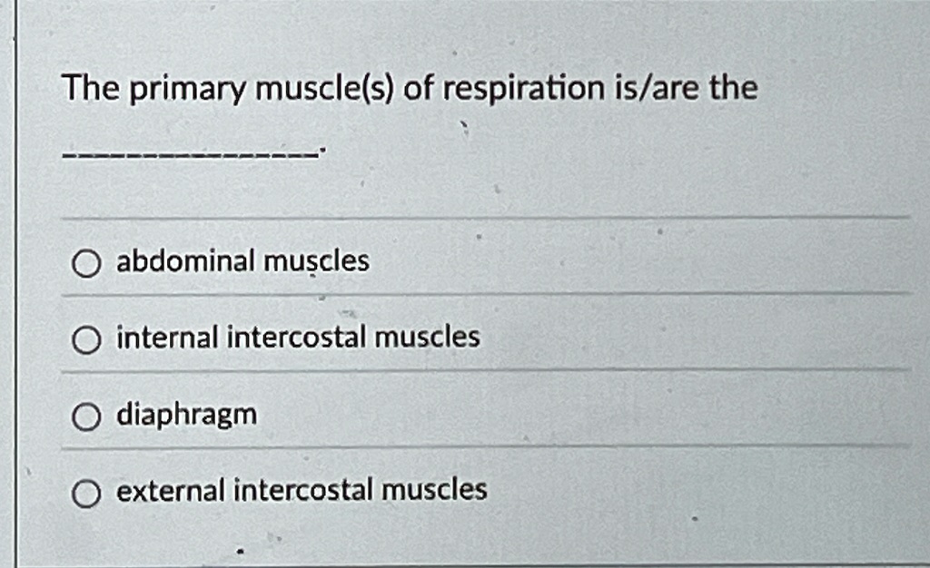 The primary muscle(s) of respiration is/are the abdominal muscles ...