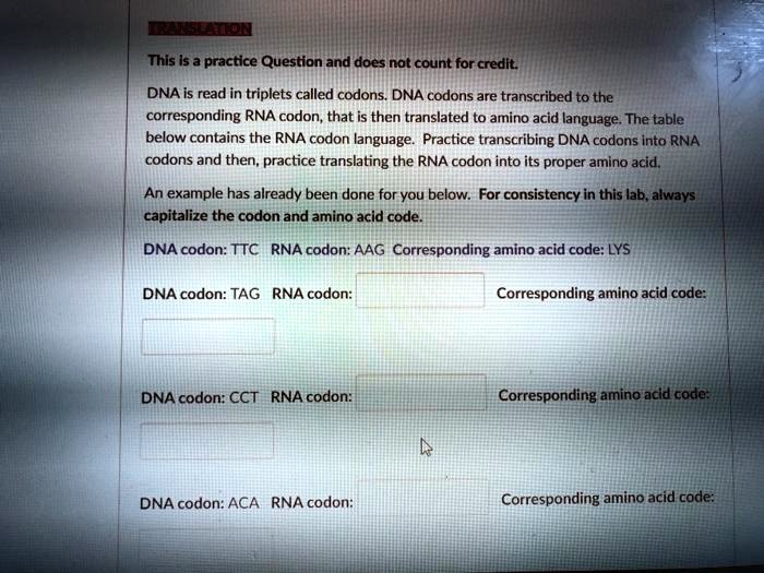 SOLVED: This is a practice question and does not count for credit. DNA ...