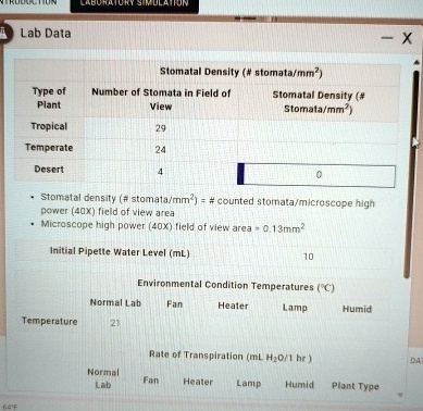 lab data type of plant stomatal density stomatamm2 number of stomata in ...