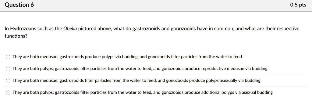 SOLVED: In Hydrozoans such as the Obelia pictured above, what do ...