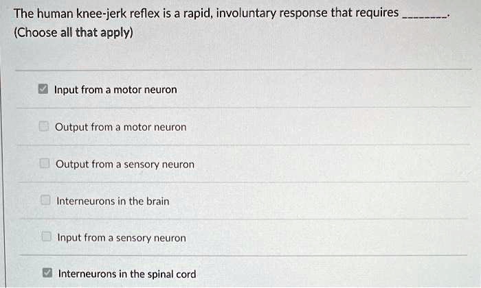 SOLVED: The human knee-jerk reflex is a rapid, involuntary response ...