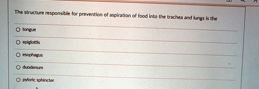 The structure responsible for prevention of aspiration of food into the ...