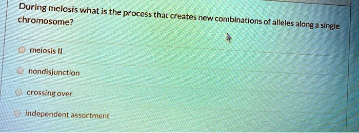 during meiosis whatis the process that creates chromosome new ...